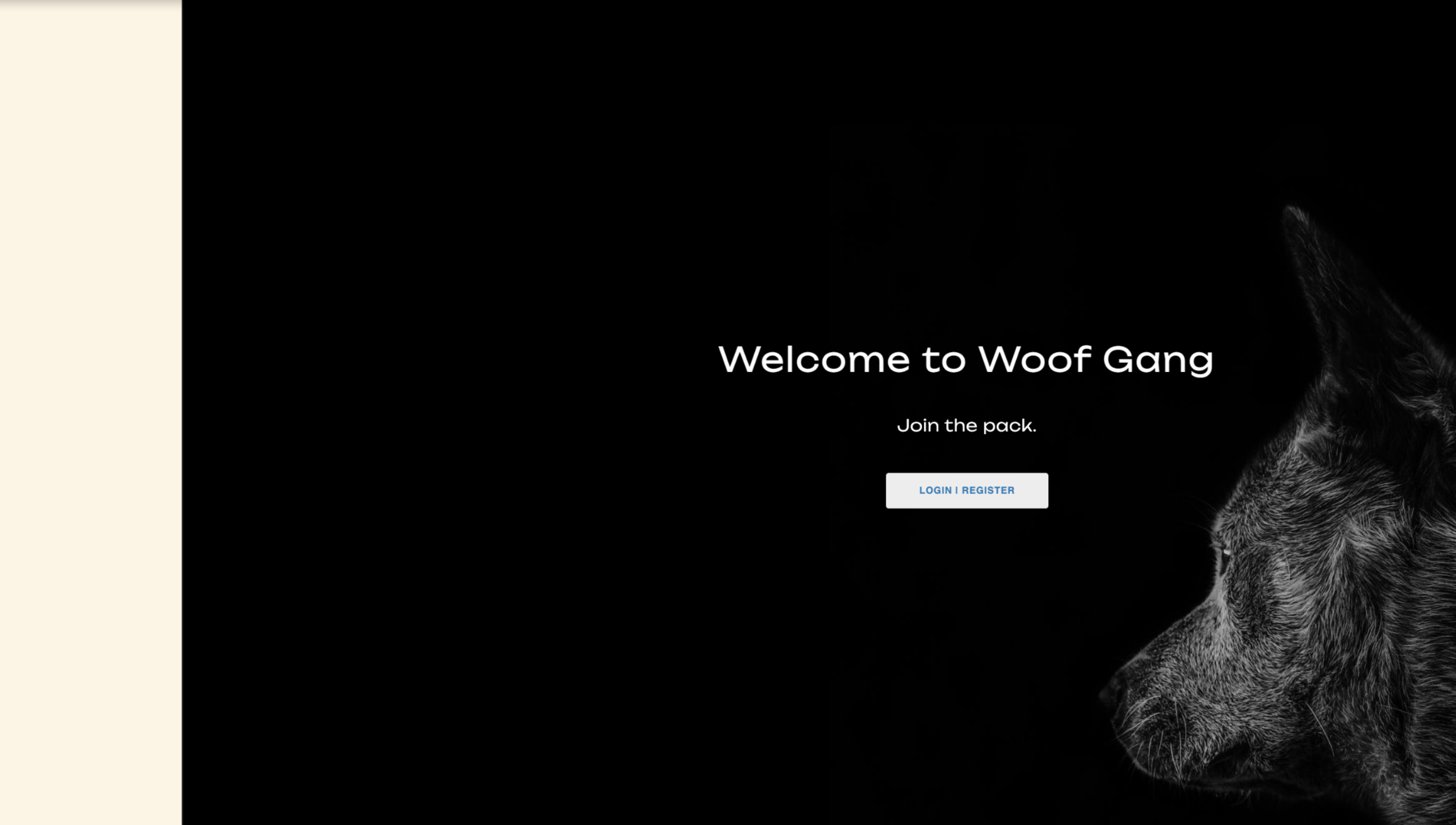 Christy Le · Software Developer